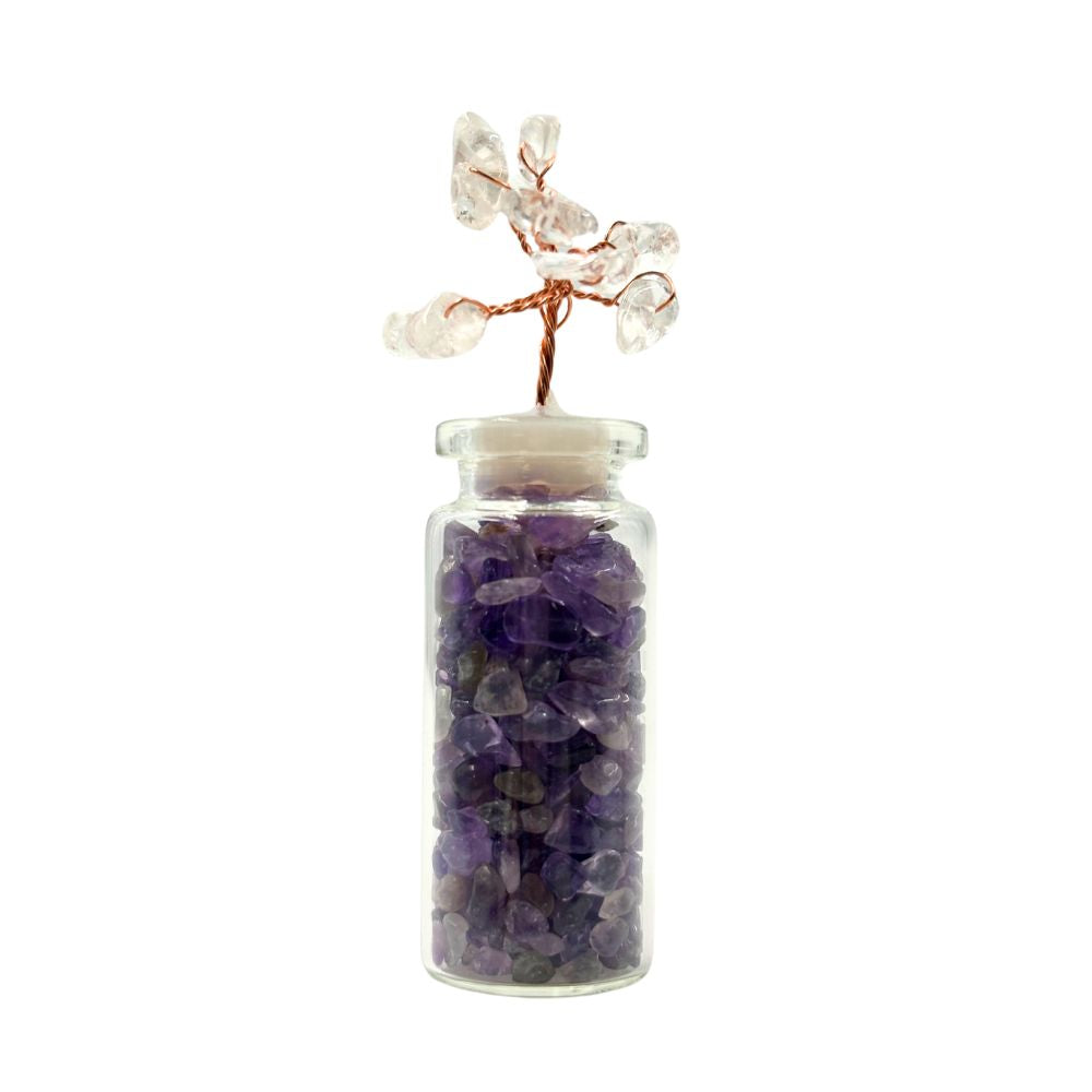 Wishing Jar Intuition - Amethyst | Earths Elements