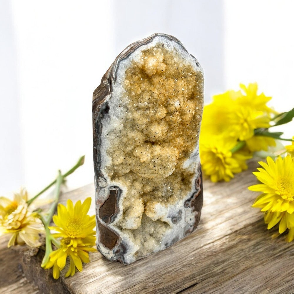 Citrine Geode - 5.1 LBS | Earths Elements
