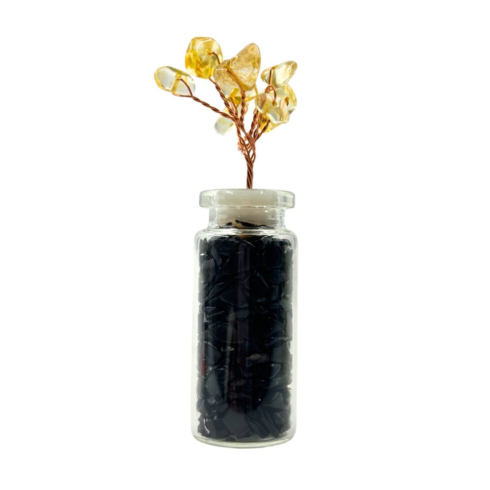 Wishing Jar Protection - Black Obsidian | Earths Elements